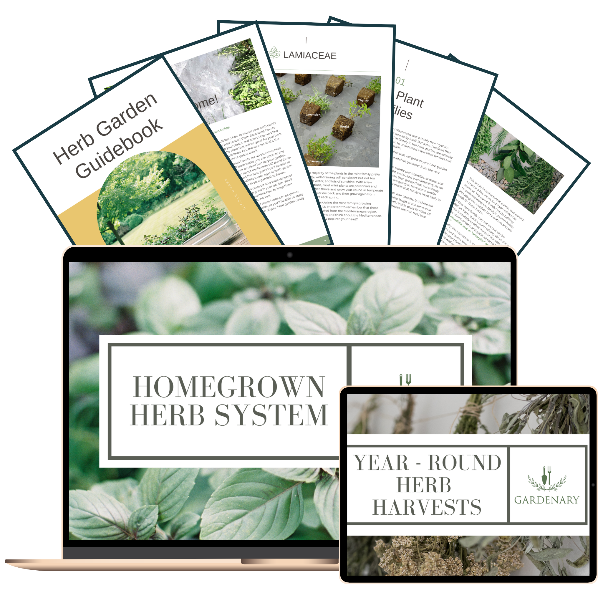Herb Garden Guide – Gardenary Shop
