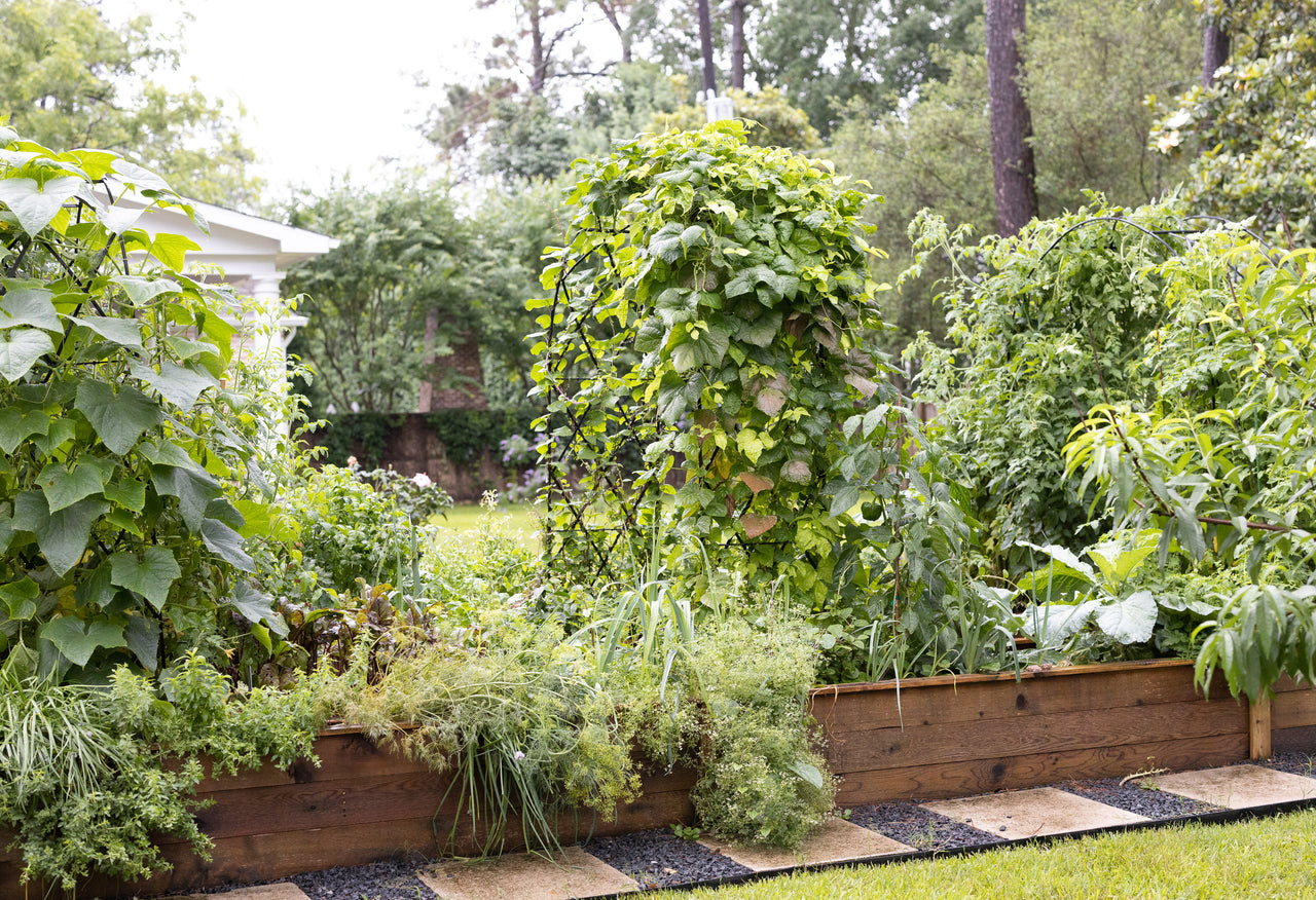 Traditional Diamond Rounded Trellis